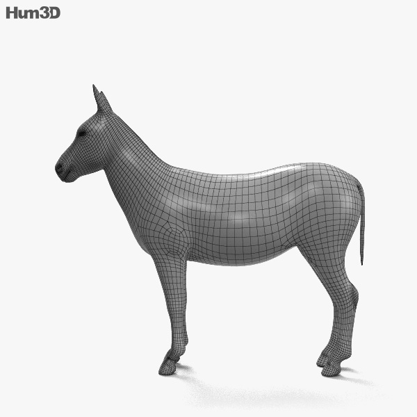 Animated Zebra 3D model - Download Mammals on 3DModels.org