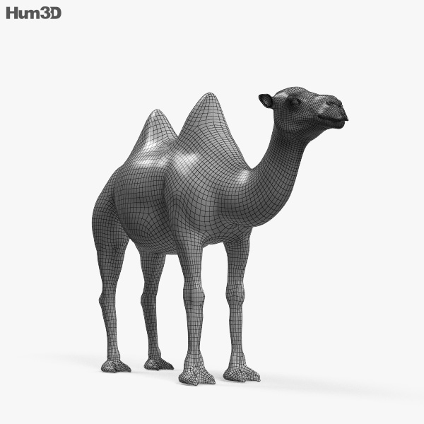 Animated Camel 3D model - Download Mammals on 3DModels.org