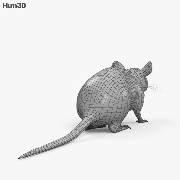 Animated Mouse White 3D model - Download Mammals on 3DModels.org