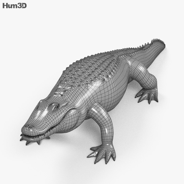Animated Alligator 3D model - Download Reptile on 3DModels.org