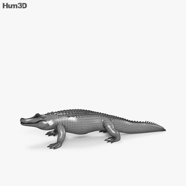 Animated Alligator 3D model - Download Reptile on 3DModels.org