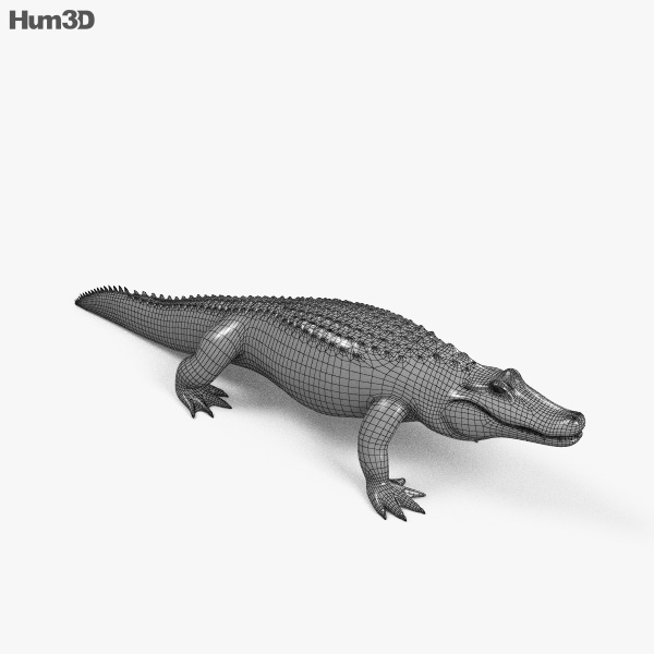 Animated Alligator 3D model - Download Reptile on 3DModels.org