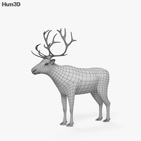 Animated Reindeer 3D model - Download Mammals on 3DModels.org