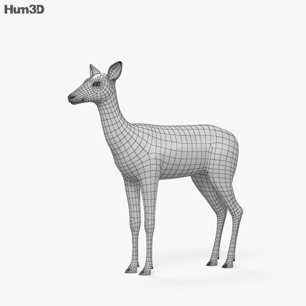 Animated Doe 3D model - Download Mammals on 3DModels.org