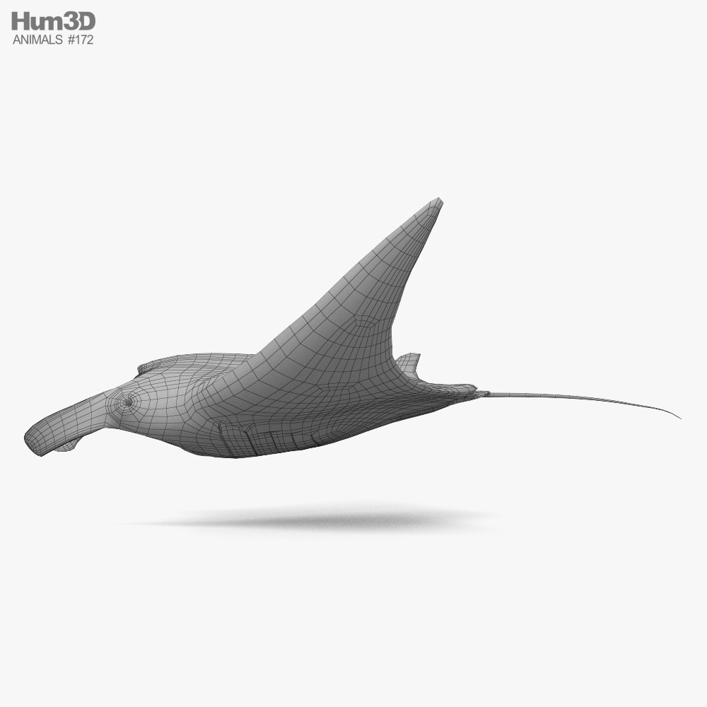 Animado Manta raya Modelo 3D - Descargar Pescados on 3DModels.org