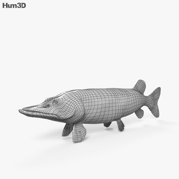 Animated Northern Pike 3D model - Download Fish on 3DModels.org