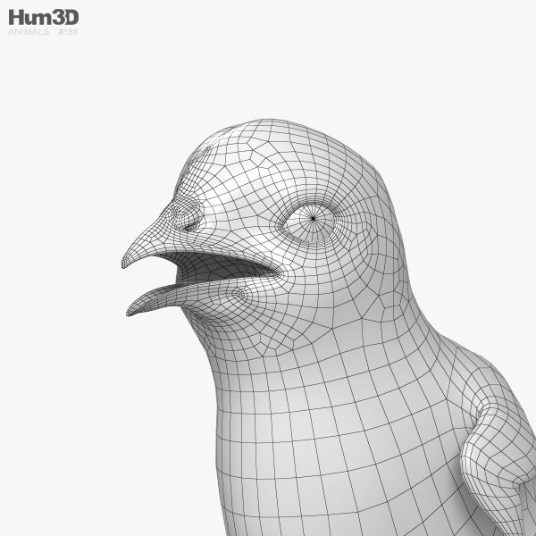 Animated Chick 3D model - Download Birds on 3DModels.org