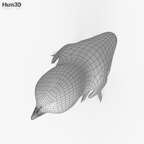 Animated Chick 3D model - Download Birds on 3DModels.org
