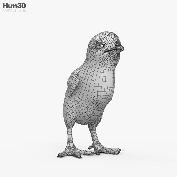 Animated Chick 3D model - Download Birds on 3DModels.org