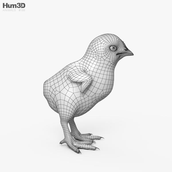 Animated Chick 3D model - Download Birds on 3DModels.org