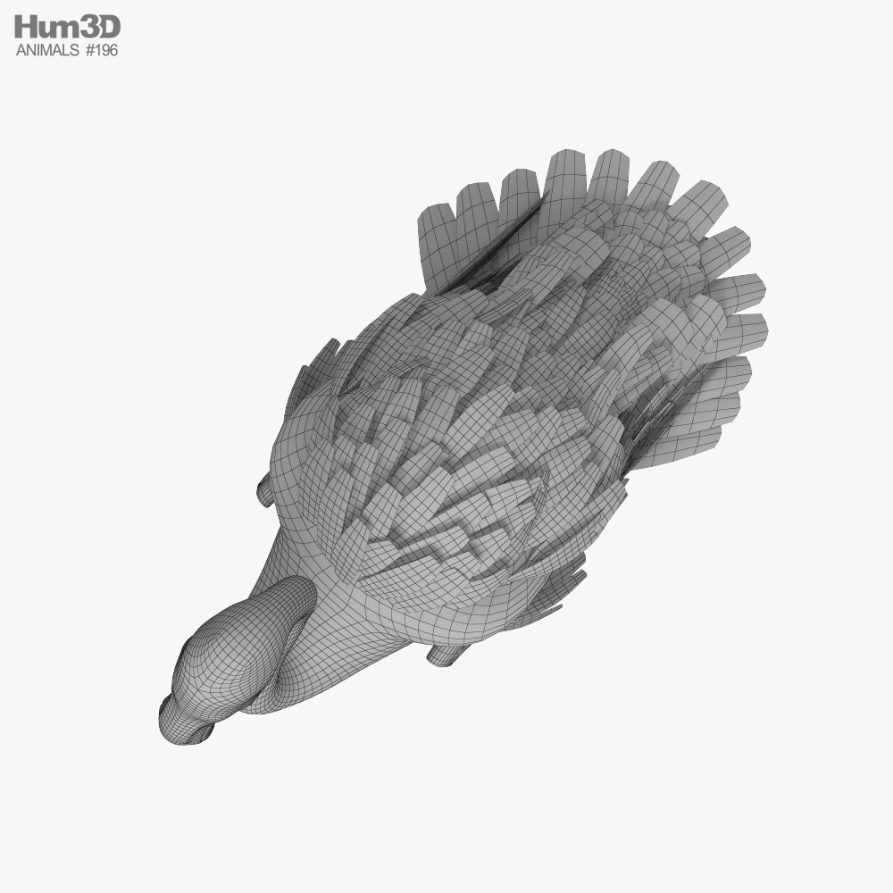 Animated Flamingo 3D model - Download Birds on 3DModels.org