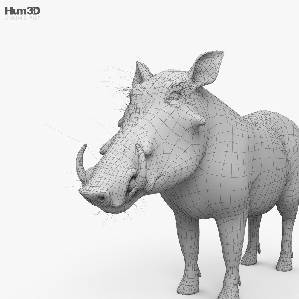 Animated Warthog 3D model - Download Mammals on 3DModels.org