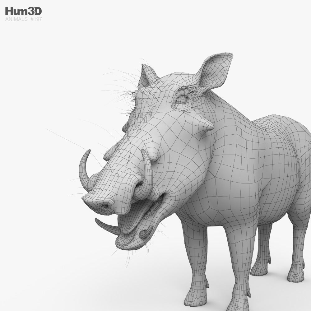 Animated Warthog 3D model - Download Mammals on 3DModels.org