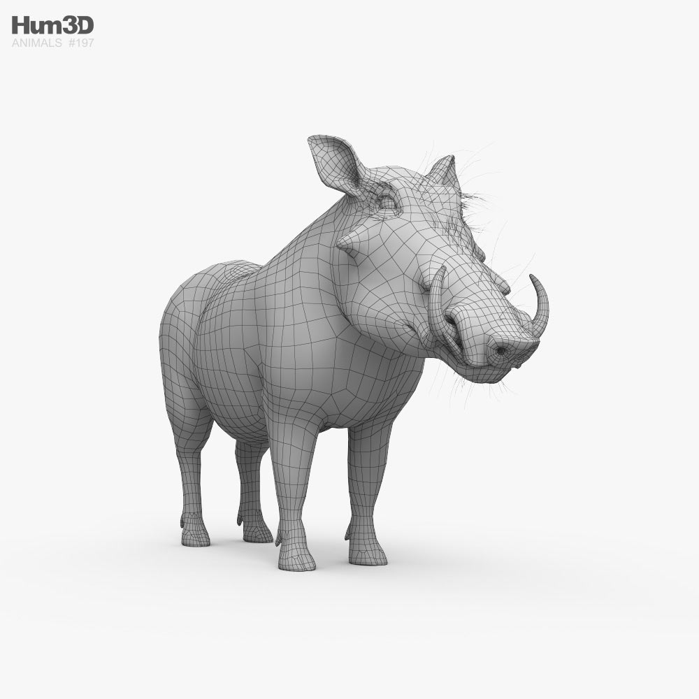 Animated Warthog 3D model - Download Mammals on 3DModels.org