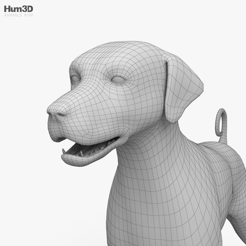 Animated Schnauzer 3D model - Download Mammals on 3DModels.org