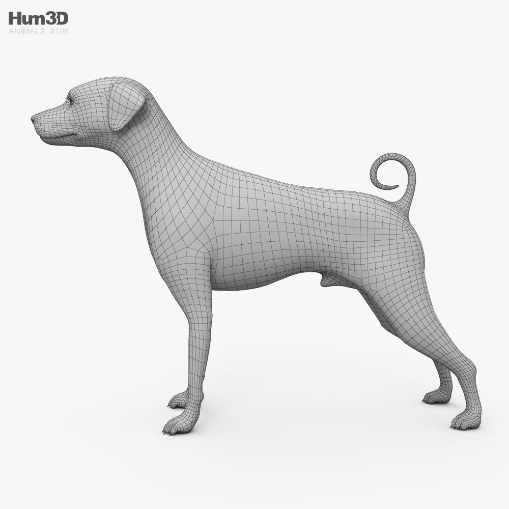 Animated Schnauzer 3D model - Download Mammals on 3DModels.org