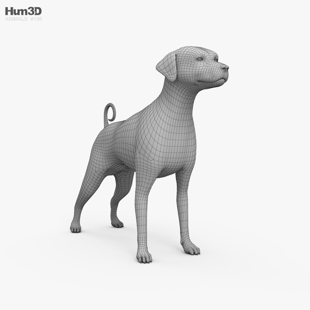 Animated Schnauzer 3D model - Download Mammals on 3DModels.org