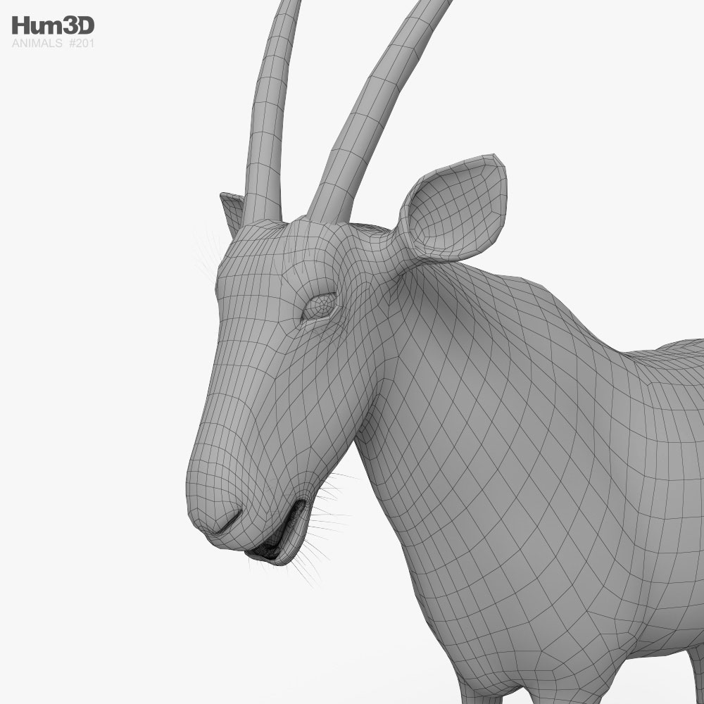 Animated Oryx 3D model - Download Mammals on 3DModels.org