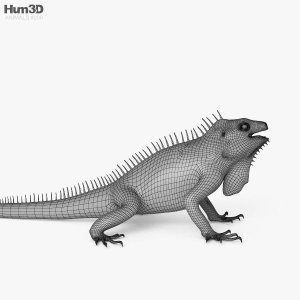Animated Iguana 3D model - Download Reptile on 3DModels.org