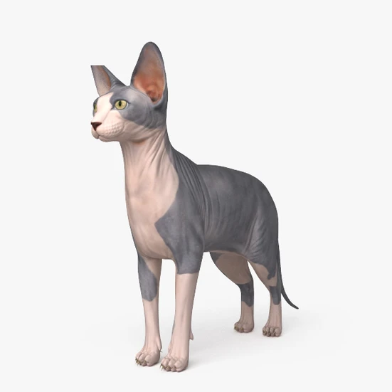 Gato Modelos 3D Descargar - 3DModels.org
