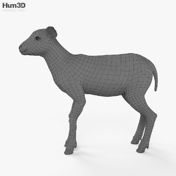 Animated Lamb 3D model - Download Mammals on 3DModels.org