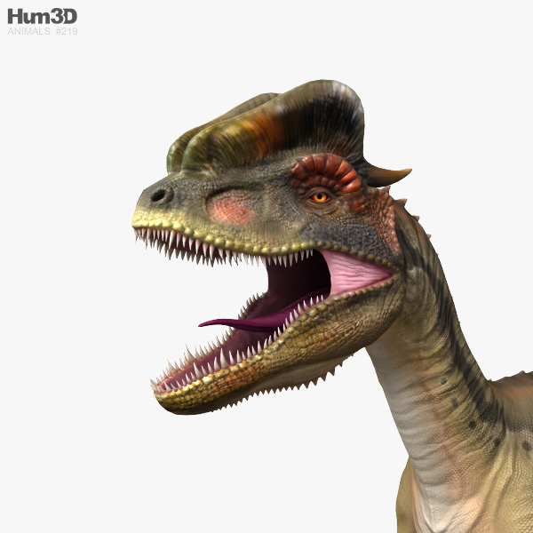 Animated Dilophosaurus 3D model - Download Dinosaur on 3DModels.org