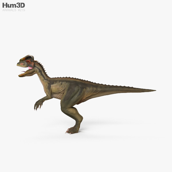 Animated Dilophosaurus 3D model - Download Dinosaur on 3DModels.org
