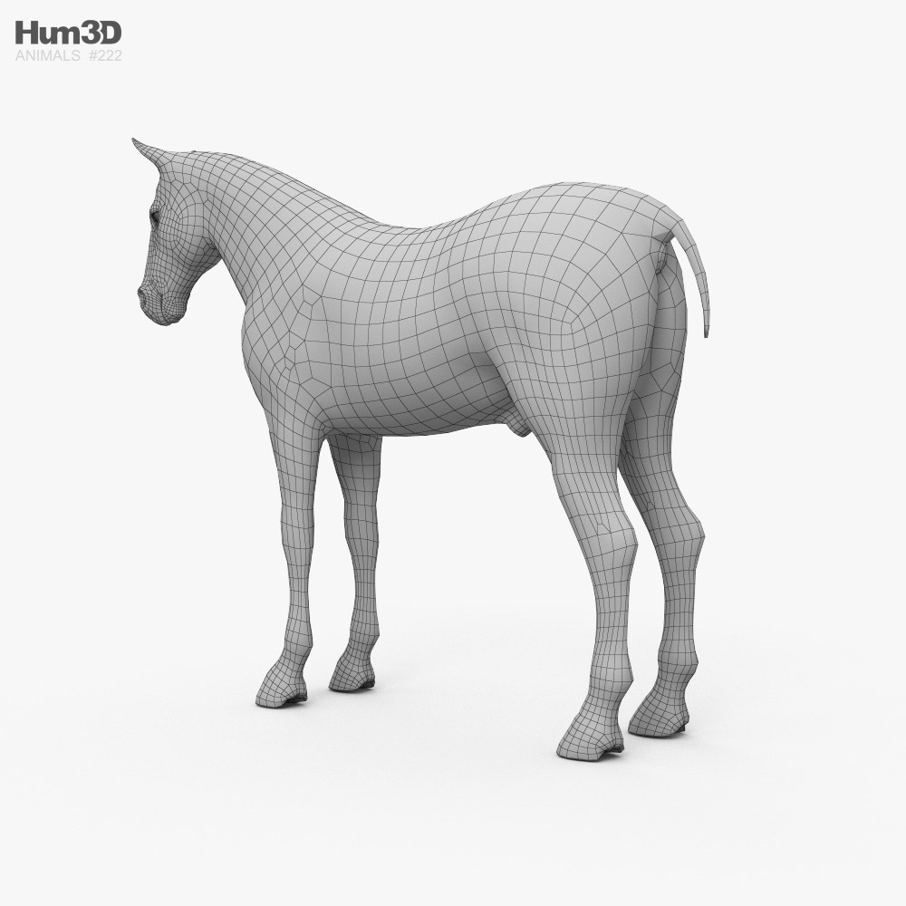 Rocky Mountain Horse 3D model - Download Mammals on 3DModels.org
