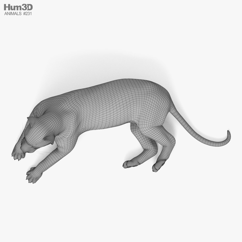 Lying Tiger 3D model - Download Mammals on 3DModels.org