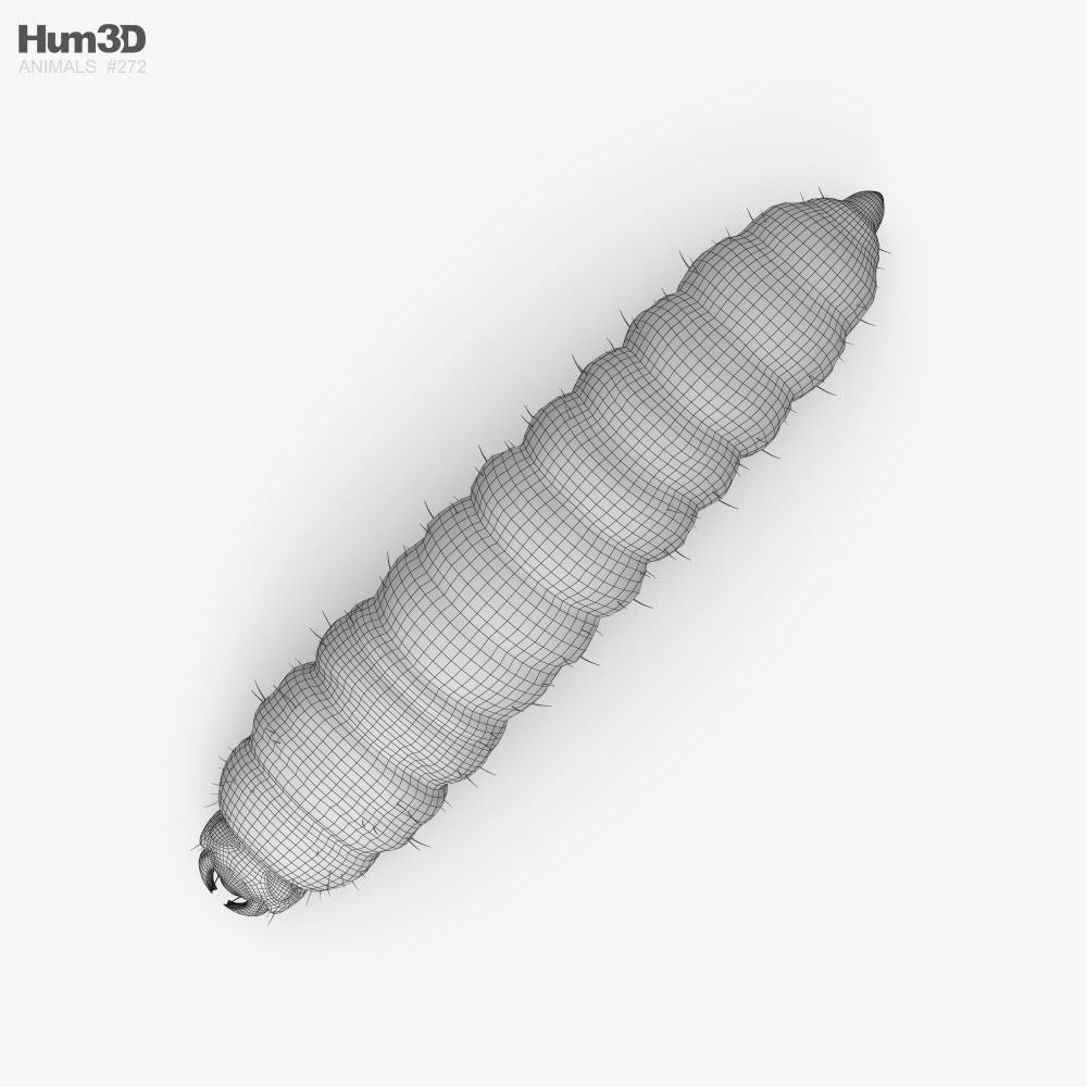 Gusano Modelo 3D - Descargar Insectos on 3DModels.org