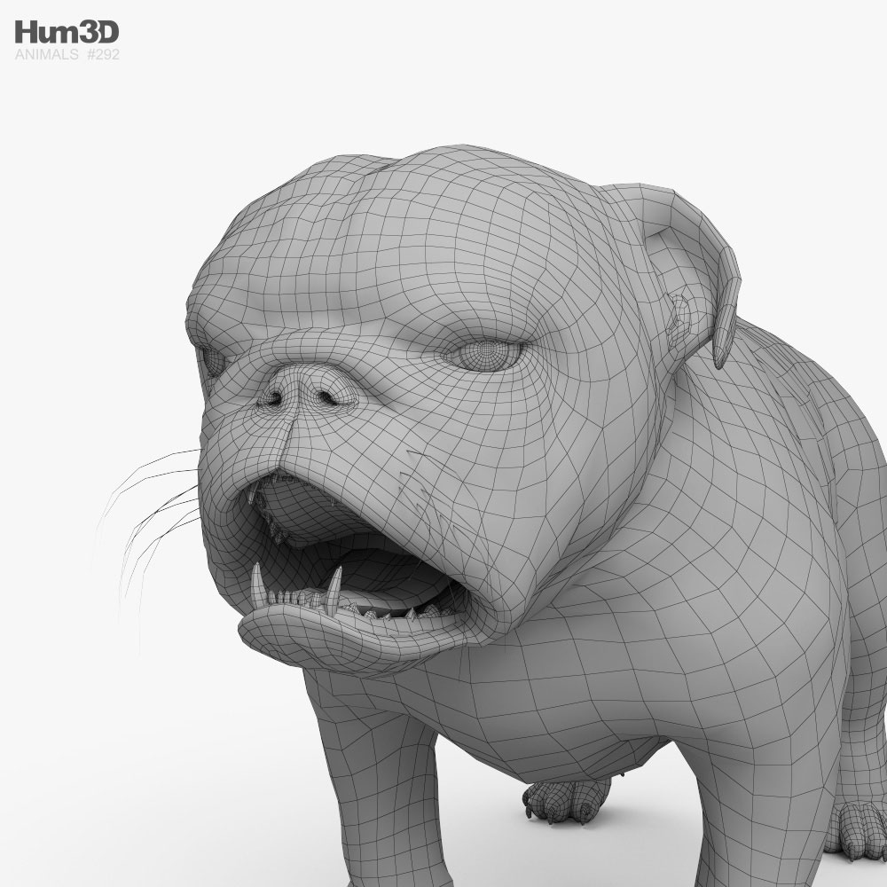 Animated English Bulldog 3D model - Download Mammals on 3DModels.org