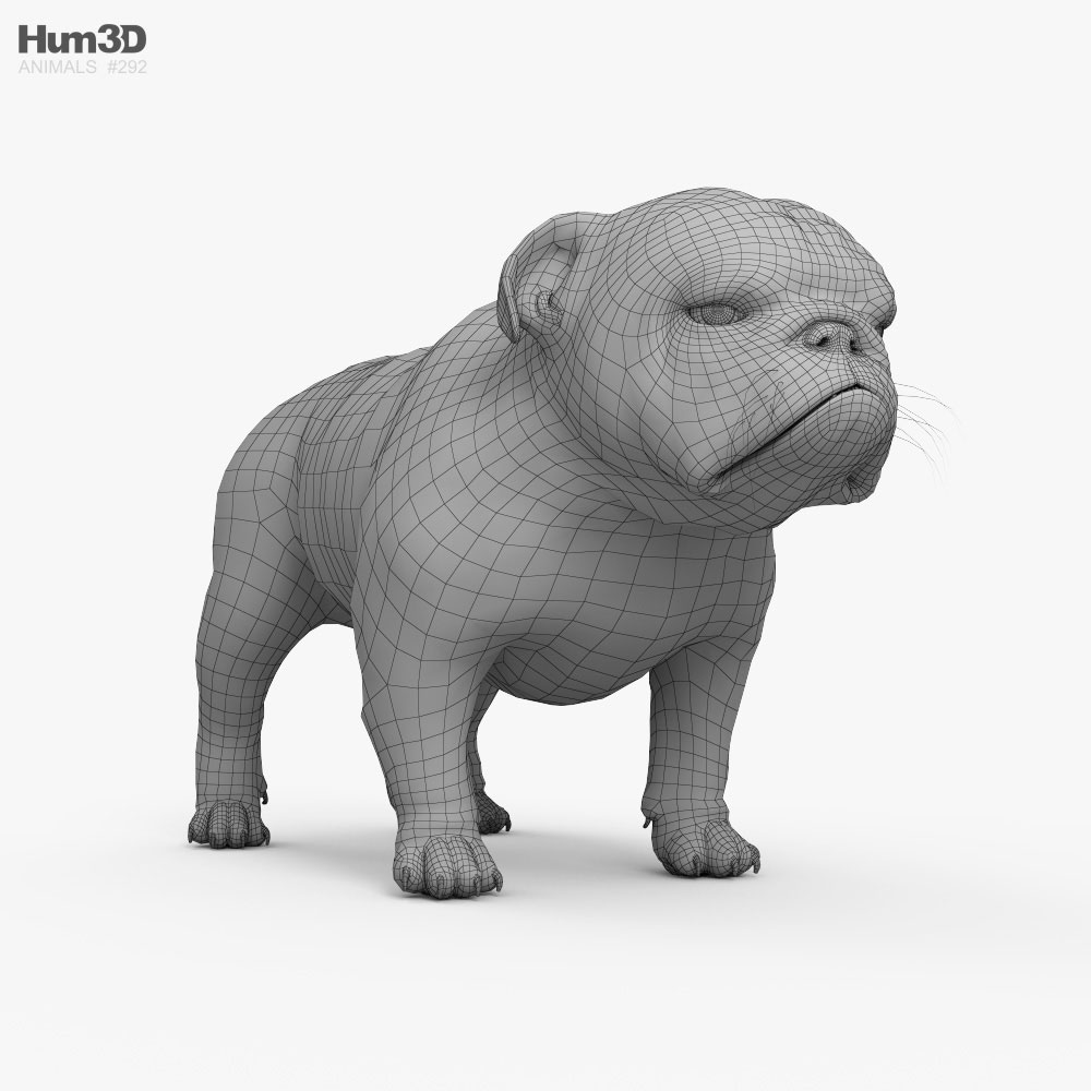Animated English Bulldog 3D model - Download Mammals on 3DModels.org