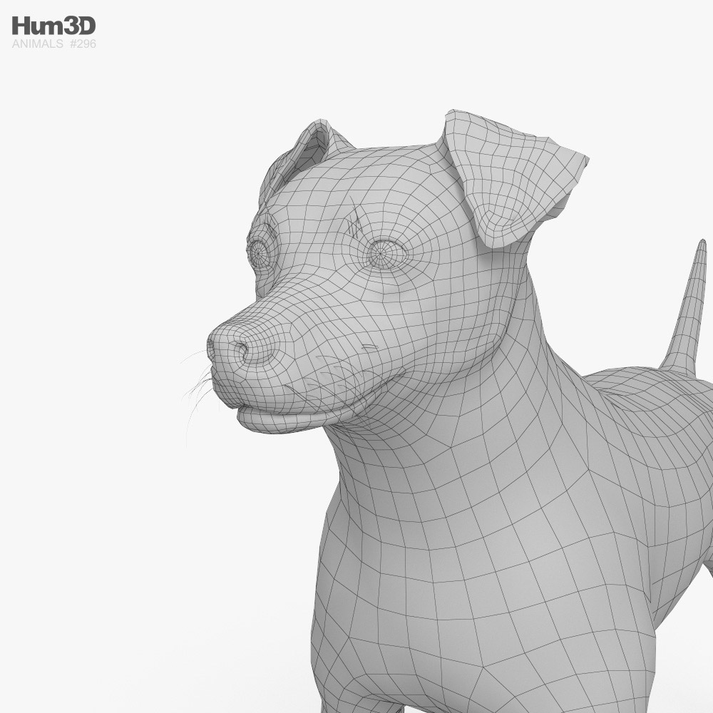 Jack Russell Terrier 3D model - Download Mammals on 3DModels.org