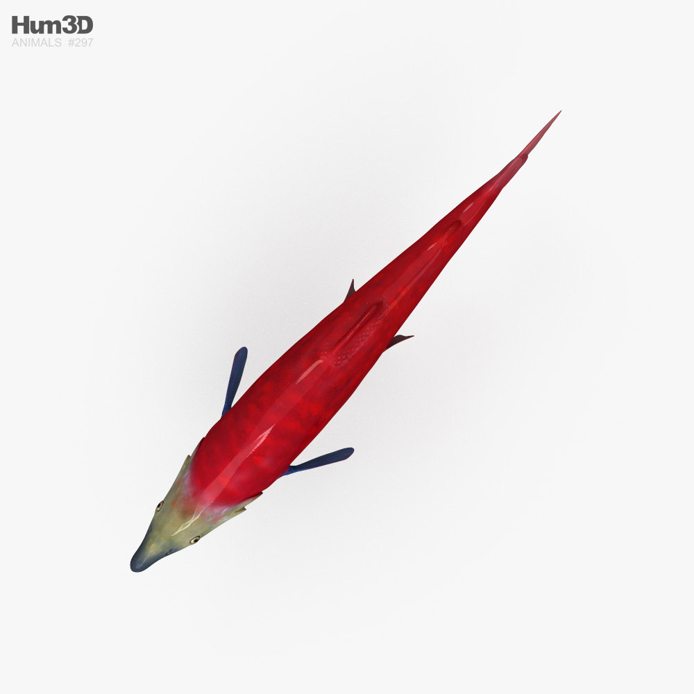 Sockeye Salmon 3D model - Download Fish on 3DModels.org