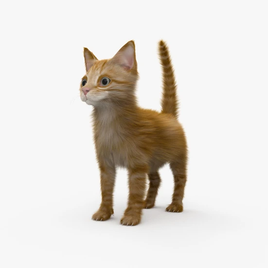 Cat 3D Models Download - 3DModels.org