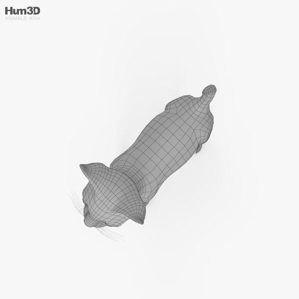 Ginger Kitten 3D model - Download Mammals on 3DModels.org
