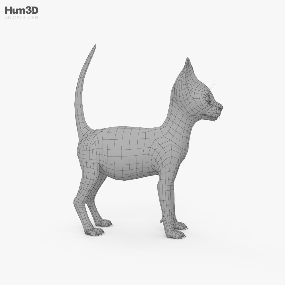 Ginger Kitten 3D model - Download Mammals on 3DModels.org