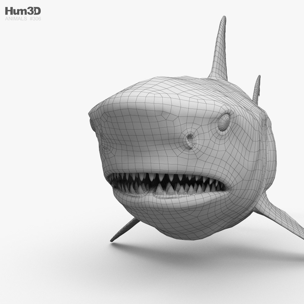 Megalodon 3D model - Download Fish on 3DModels.org