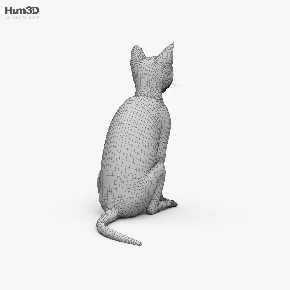 Sitting Gato HD Modelo 3D - Descargar Mammalia on 3DModels.org