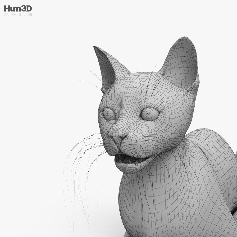 Gato acostado Modelo 3D - Descargar Mammalia activado 3DModels.org