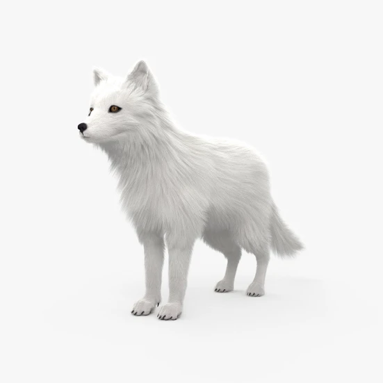 Fox 3D Models Download - 3DModels.org