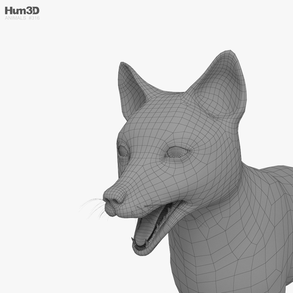 Animated Arctic Fox 3D model - Download Mammals on 3DModels.org