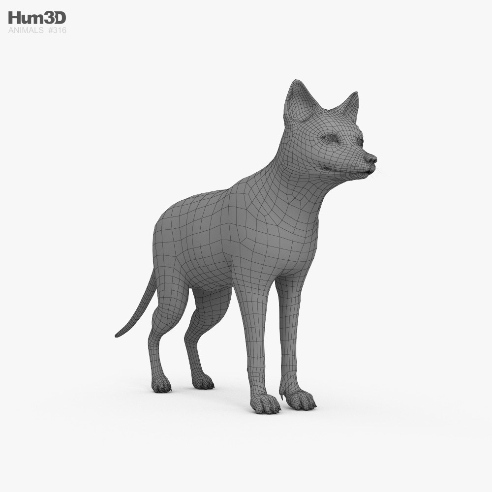 Animated Arctic Fox 3D model - Download Mammals on 3DModels.org