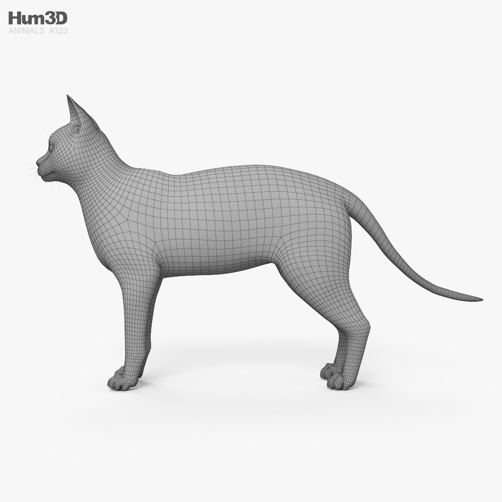 Animado Gato siamés Modelo 3D - Descargar Mammalia on 3DModels.org