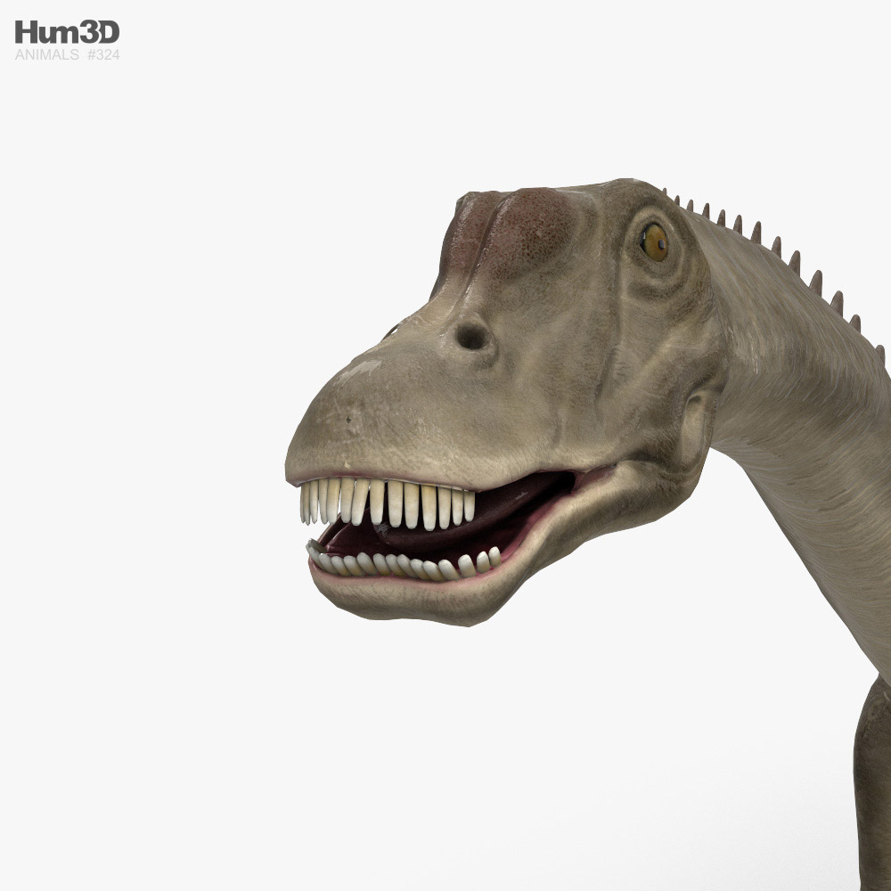 Diplodocus Modelo 3D - Descargar Dinosaurio on 3DModels.org