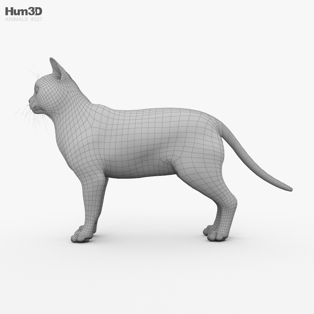 View Cat In 3d