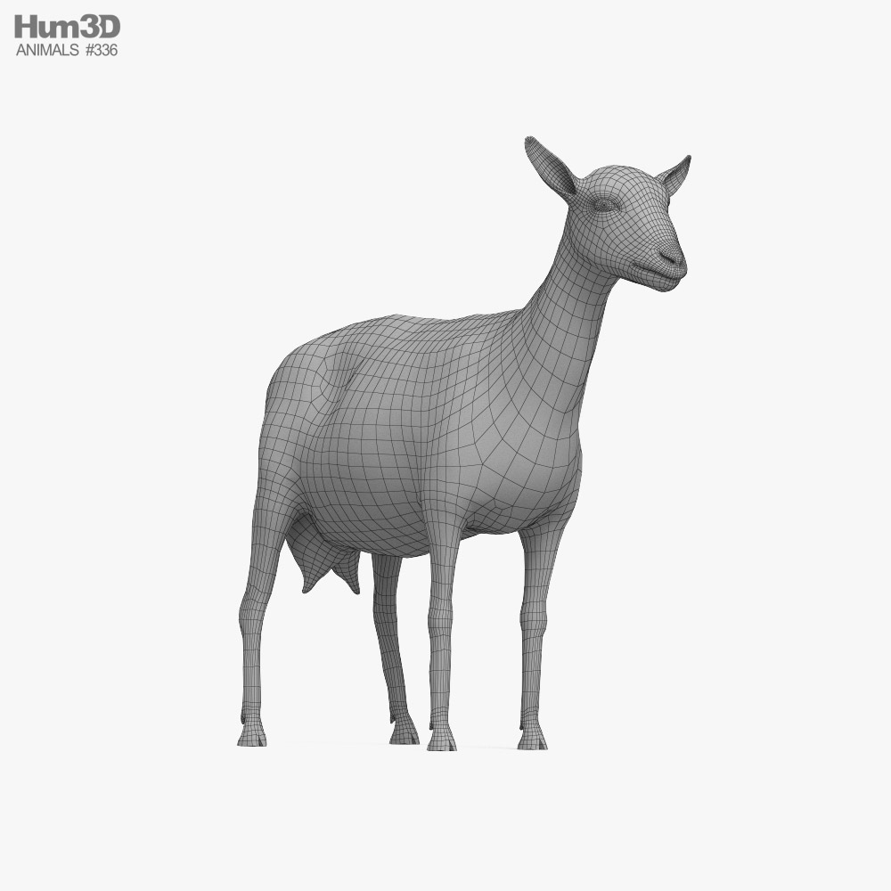 Alpine Goat 3D model - Download Mammals on 3DModels.org