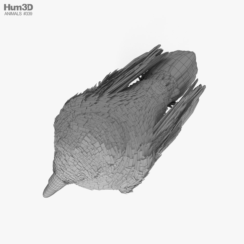 Red-tailed Hawk 3D model - Download Birds on 3DModels.org