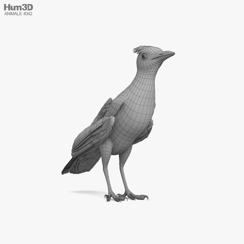 Blue Jay 3D model - Download Birds on 3DModels.org