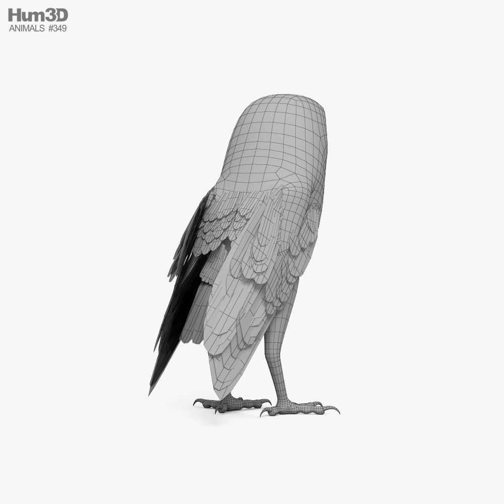 Barn Owl 3D model - Download Birds on 3DModels.org